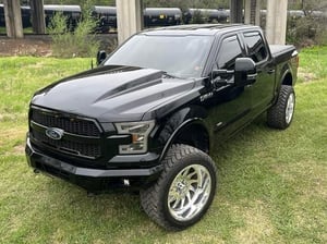 F-150 Hoods & Hood Struts for 2015, 2016, 2017, 2018, 2019, 2020 ...